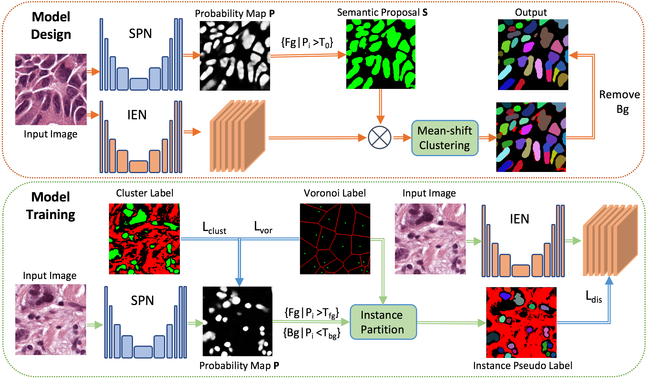 Weakly Supervised Nuclei Segmentation via Instance Learning | PLUS